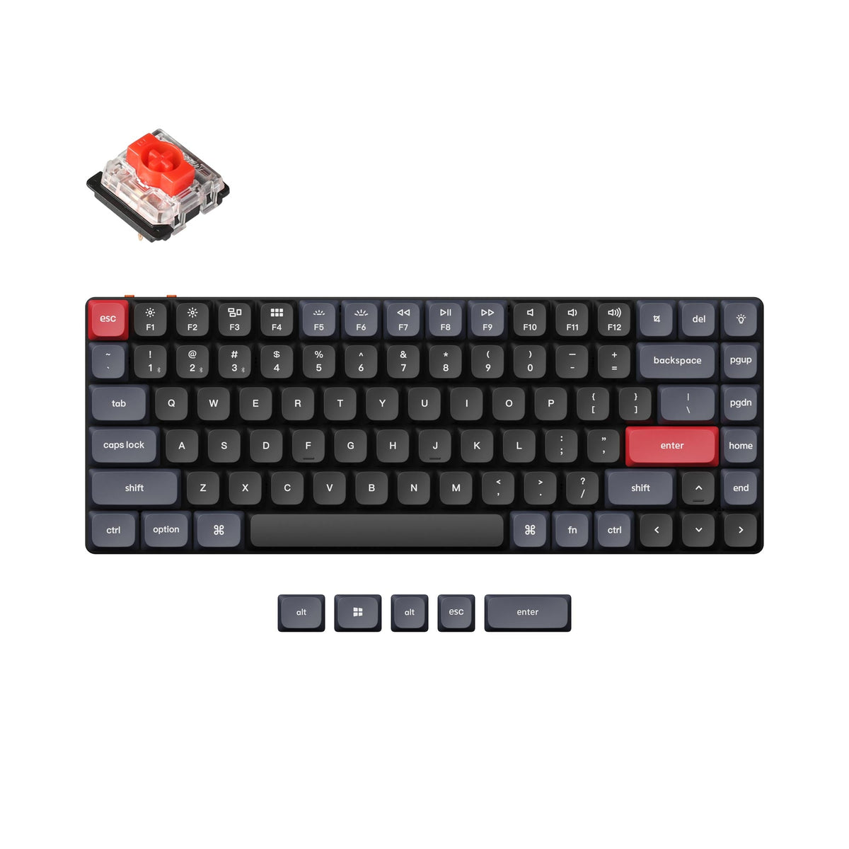 Keychron New Zealand | High End Mechanical Keyboards for Mac, Windows